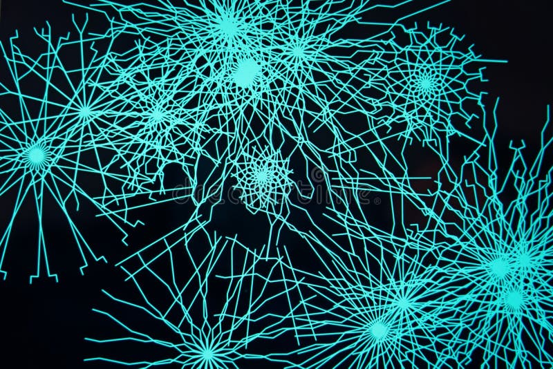 Spiders on Webs stock vector. Illustration of pattern - 26447010