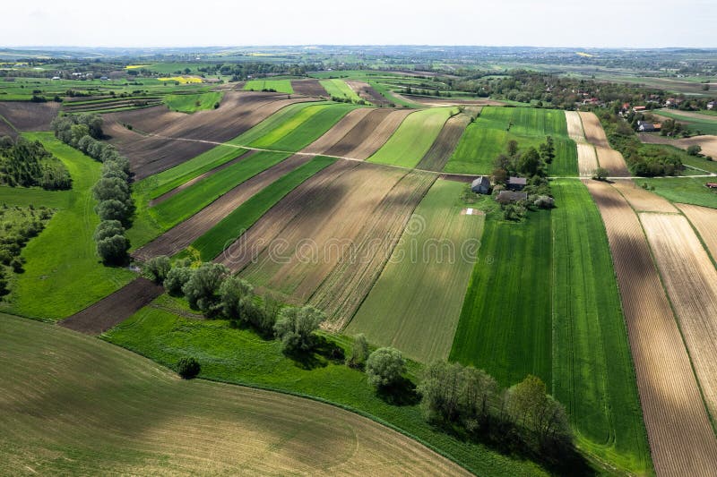 Colorful Patterns in Crop Fields at Farmland, Aerial View, Drone Photo ...