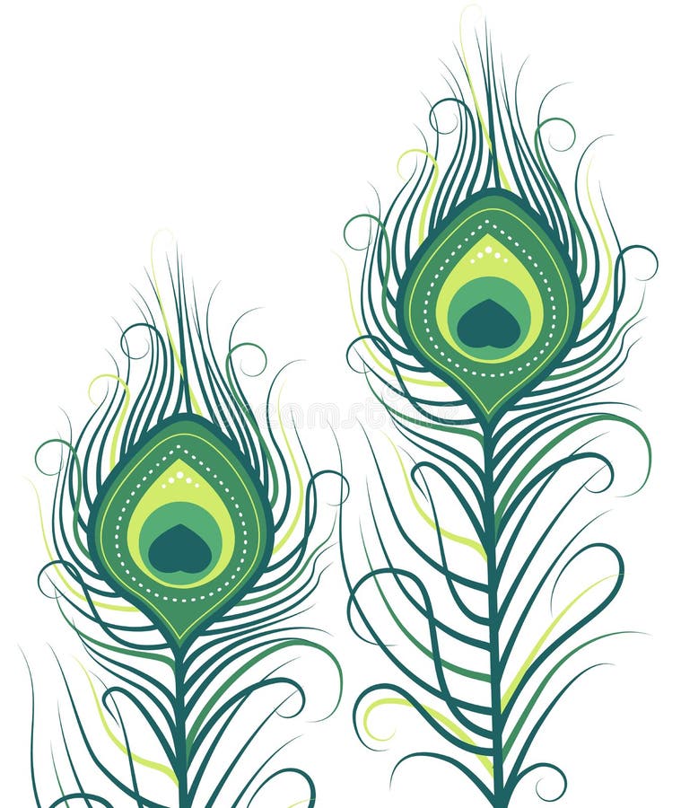 Colorful peacock feathers stock vector. Illustration of closeup - 95791487