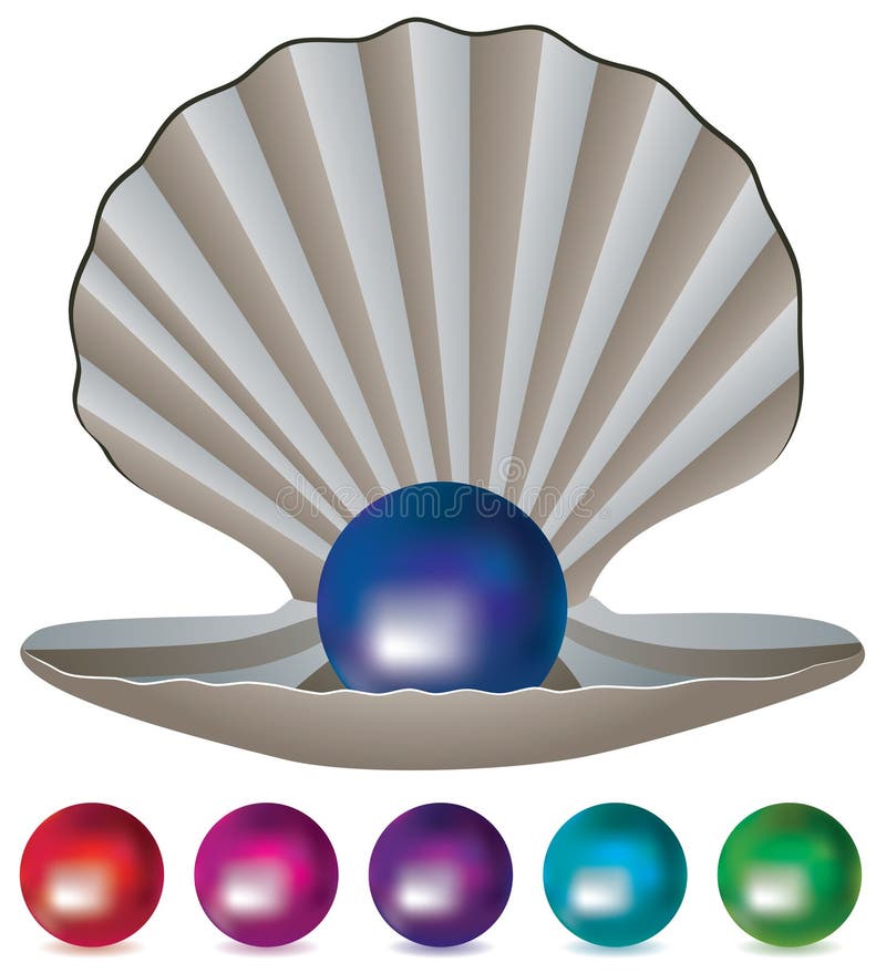 Colorful Pearls and a Shell Stock Vector - Illustration of design ...