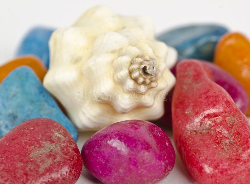 Colorful Pebbles with a Conch Stock Photo - Image of conch, aquatic ...
