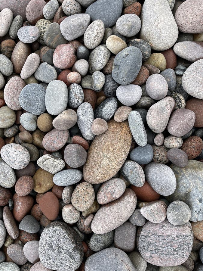 Colorful Pebbles Scattered Along a Beach Create a Natural Mosaic Under ...