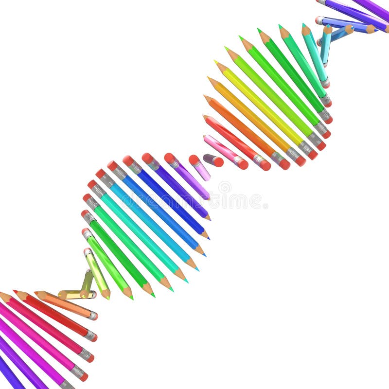 Colorful Pencils in the Dna Chain Stock Illustration - Illustration of ...