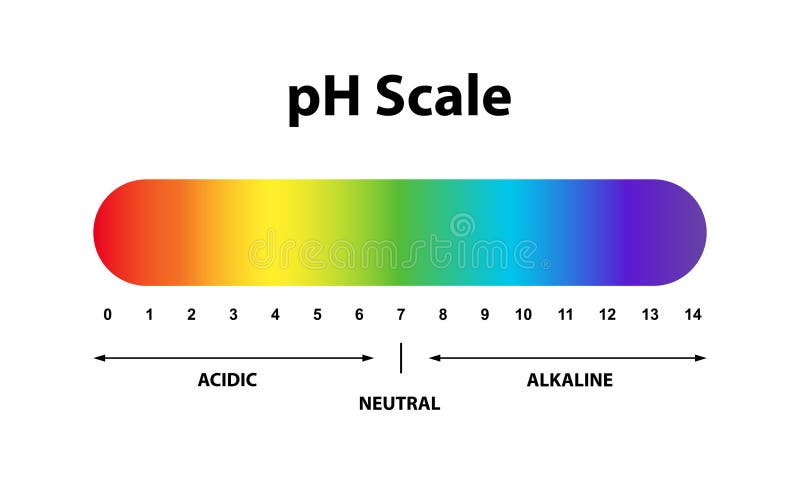 Colorful Ph Level Scale Chart Indicator Diagram Value Stock Vector ...