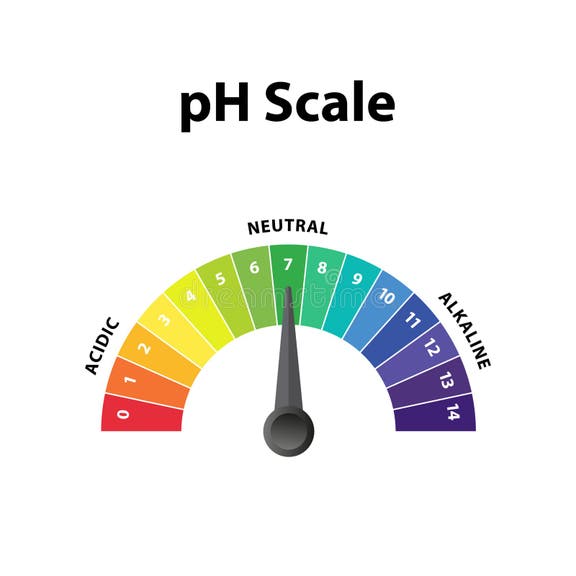 Colorful Ph Level Scale Chart Indicator Diagram Value. Stock Vector ...
