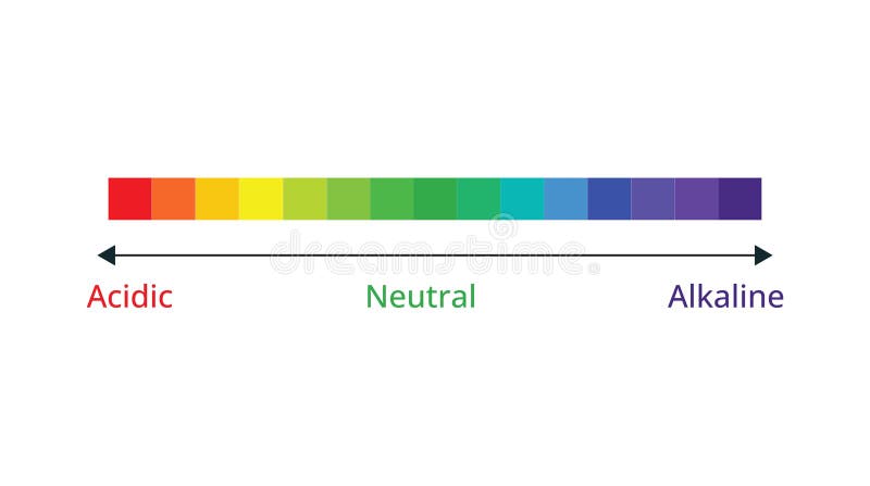 Colorful Ph Test Strip Symbol. Vector Illustration Stock Vector ...