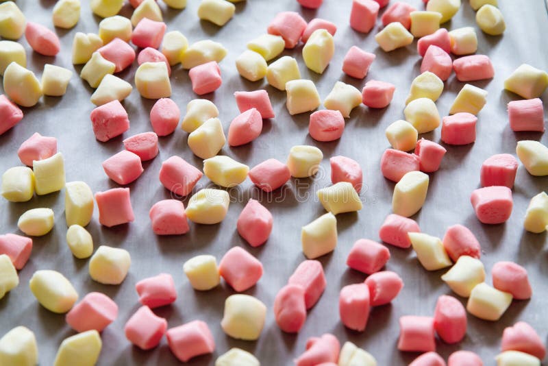 Colorful Pillow Mints Made from Scratch at Home Stock Image - Image of ...