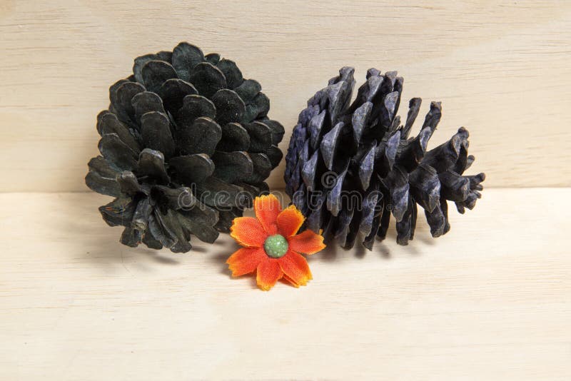 Colorful Pine Cones with Backdrop Stock Photo - Image of cones, brown ...