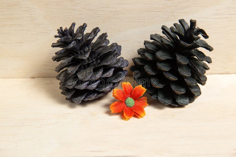Colorful Pine Cones with Backdrop Stock Photo - Image of brown, nature ...