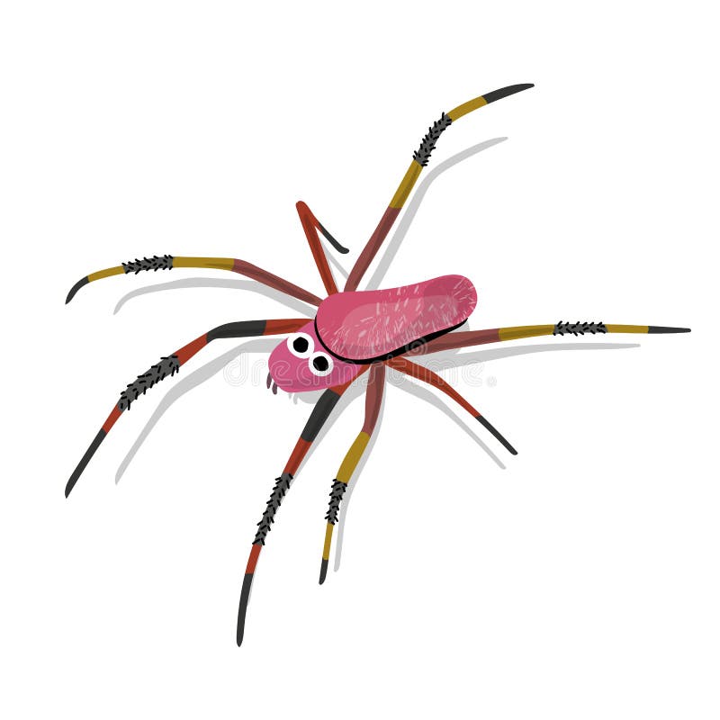 Colorful Pink Spider Isolated Stock Vector - Illustration of strange ...