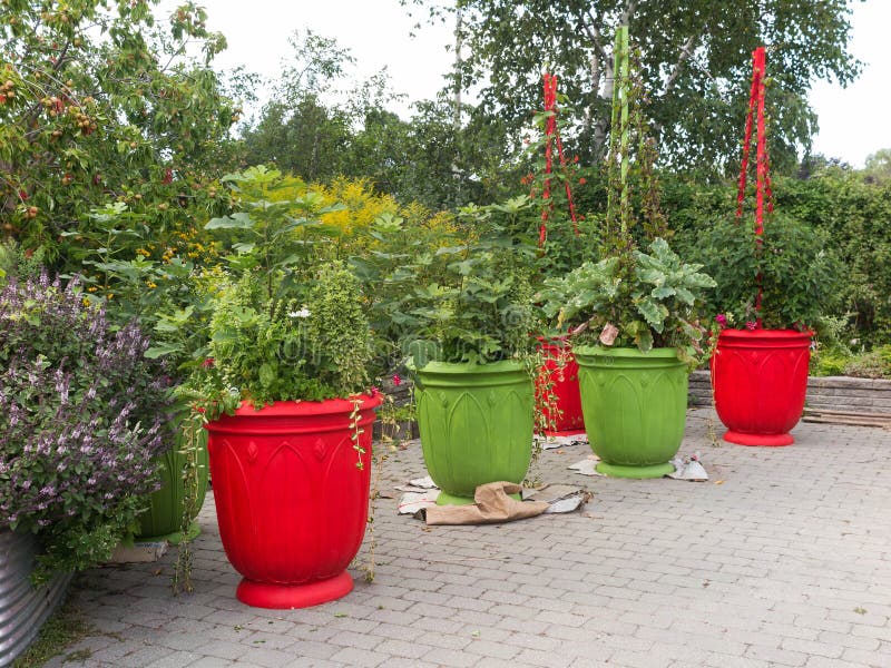 Colorful Planters in Public Garden Stock Photo - Image of planting ...