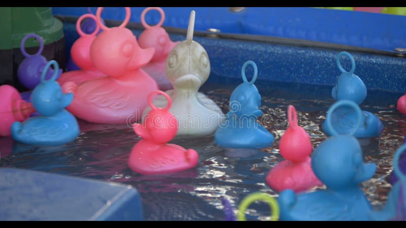 Colorful Plastic Ducks Floating Playfully in a Pool at the Park Stock ...