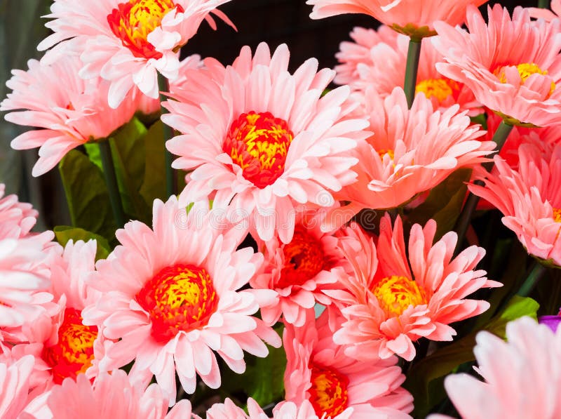 Colorful plastic flowers. stock photo. Image of green - 73994330