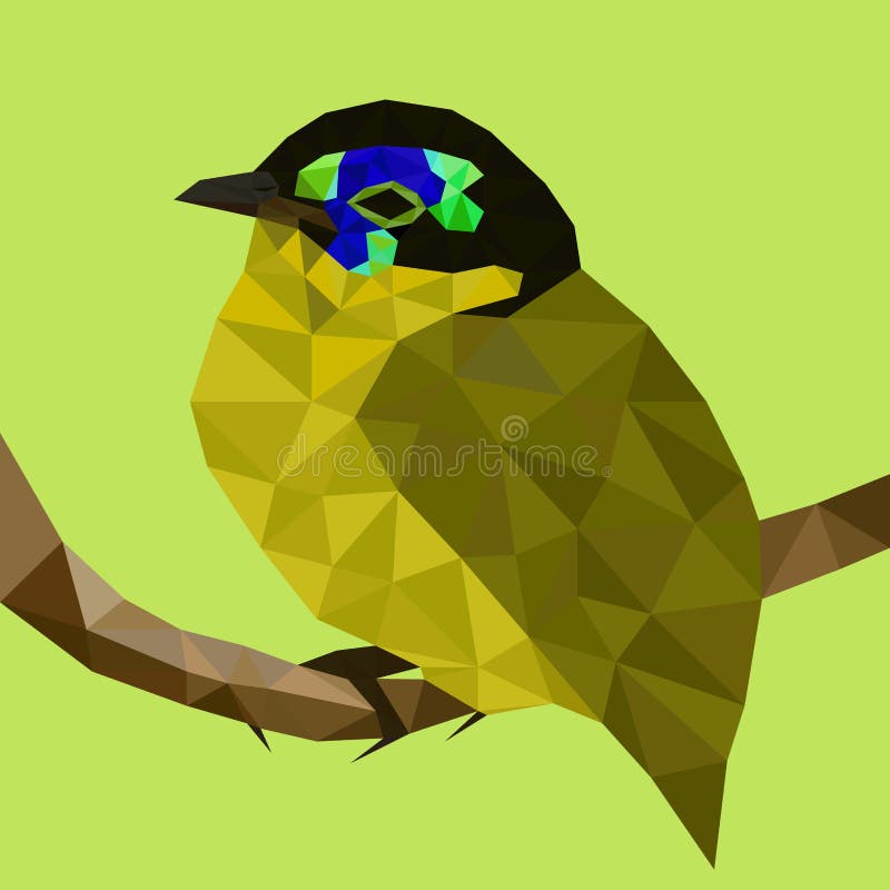 Colorful polygon wild bird stock vector. Illustration of white - 154705412