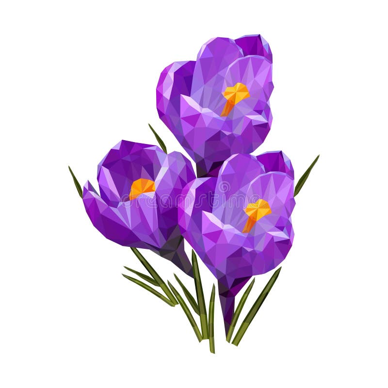 Colorful Polygonal Style Design of Blooming Violet Crocus Flower ...