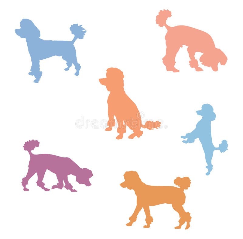 Colorful Poodle Vector Icon Set Stock Vector - Illustration of design ...