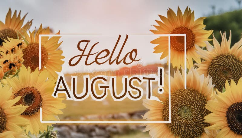 A Colorful Poster with the Words Hello August Stock Illustration ...