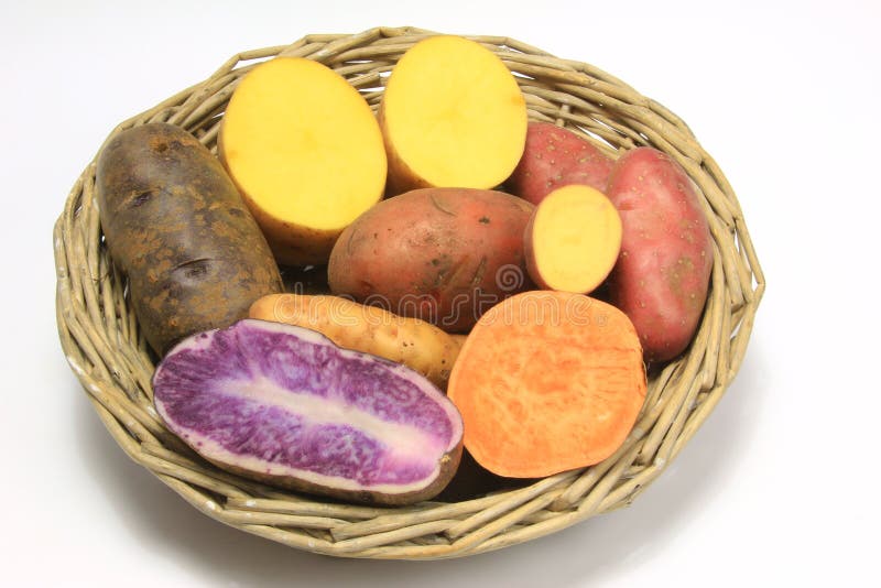Colorful Potatoes stock image. Image of ornamental, batatas - 28235559
