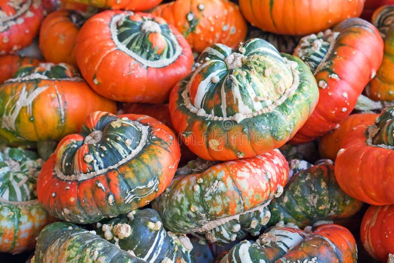 Colorful pumpkins stock image. Image of farm, market - 10812055