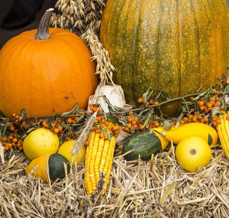 Colorful pumpkins stock photo. Image of fall, decoration - 28362514