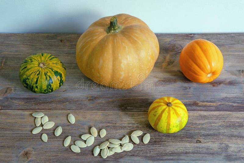 Colorful Pumpkins and Pumpkin Seeds on Rustic Table Stock Photo - Image ...