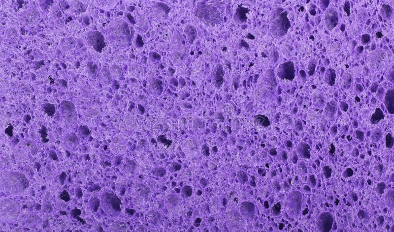 Colorful Purple Sponge stock photo. Image of sponge, texture - 1594600