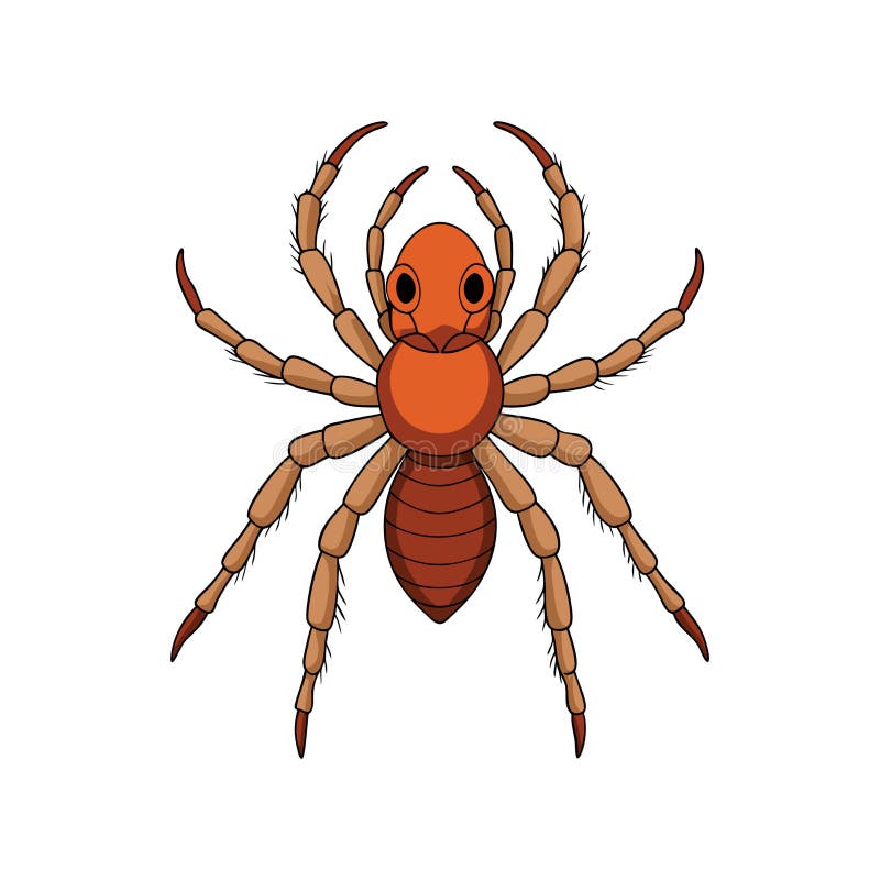 Colorful Realistic Illustration of Galeodes Stock Illustration ...