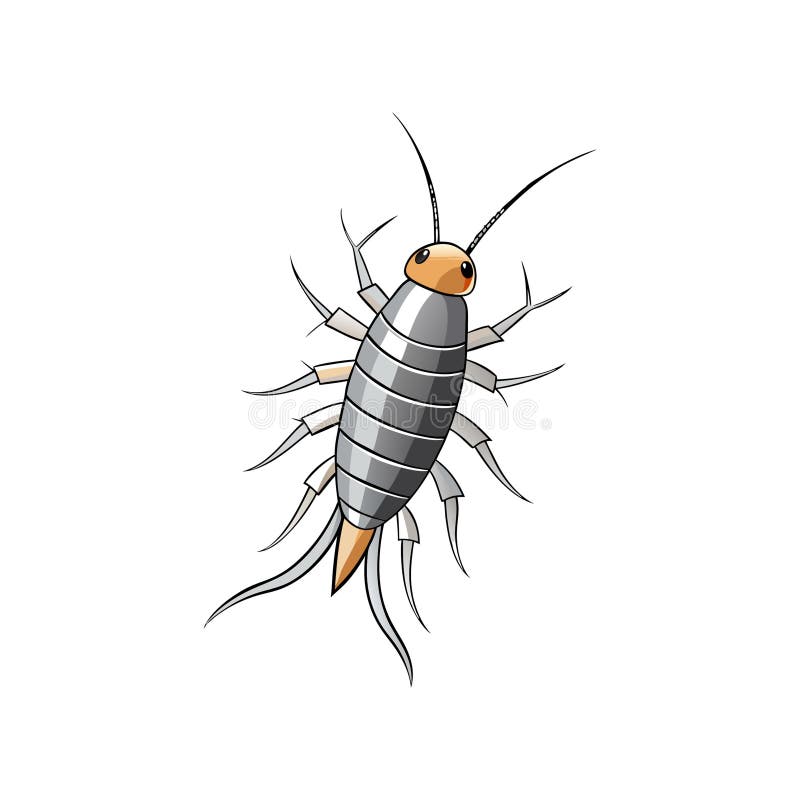 Colorful Realistic Illustration of Silverfish Stock Photo ...