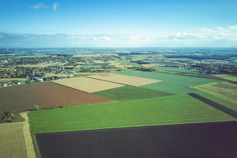 Colorful and Rectangular Fields with Corn and Wheat from a Bird`s Eye ...