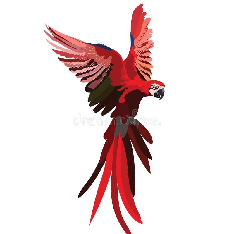 Colorful Red flying parrot stock vector. Illustration of element - 75795064