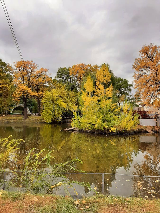Colorful Reflection of the Autumn Trees Stock Image - Image of trees ...