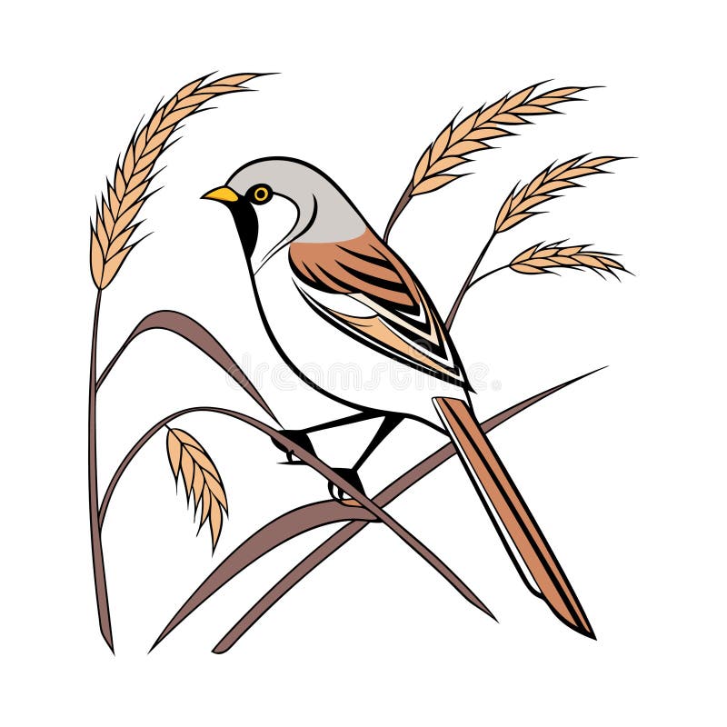 Colorful Representation of Bearded Reedling Stock Illustration ...