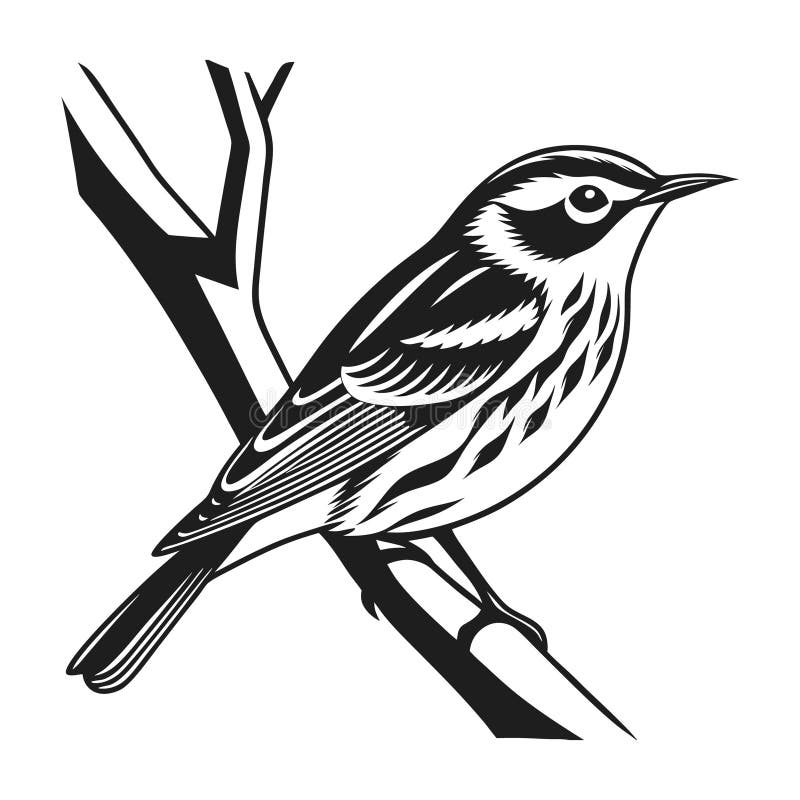 Colorful Representation of Black-and-white Warbler Stock Image ...