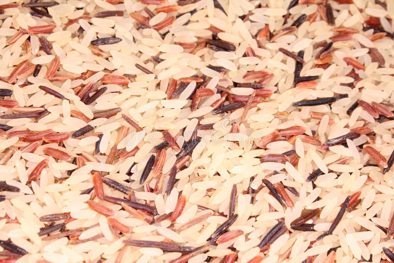 Colorful rice stock image. Image of cereals, export, basmati - 20069041