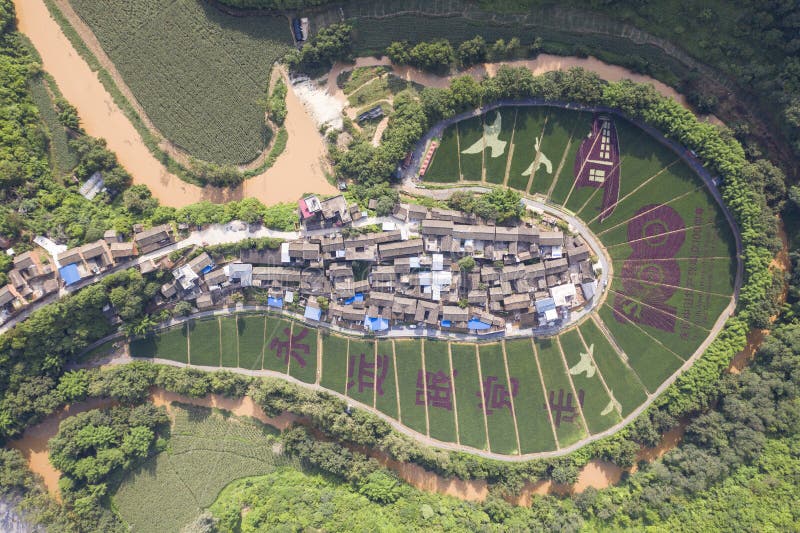 Colorful rice straw hats stock photo. Image of sedge - 24104826