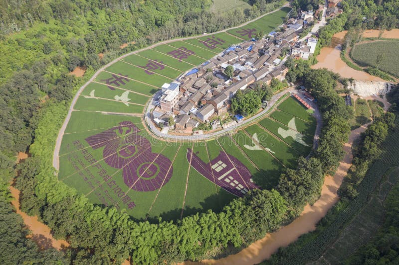 Colorful Rice Fields in Yunnan, China Editorial Photography - Image of ...