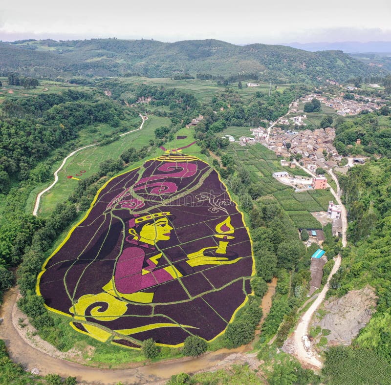 Colorful Rice Fields in Yunnan, China Editorial Stock Photo - Image of ...