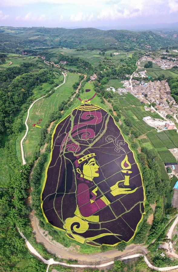 Colorful Rice Fields in Yunnan, China Editorial Stock Photo - Image of ...