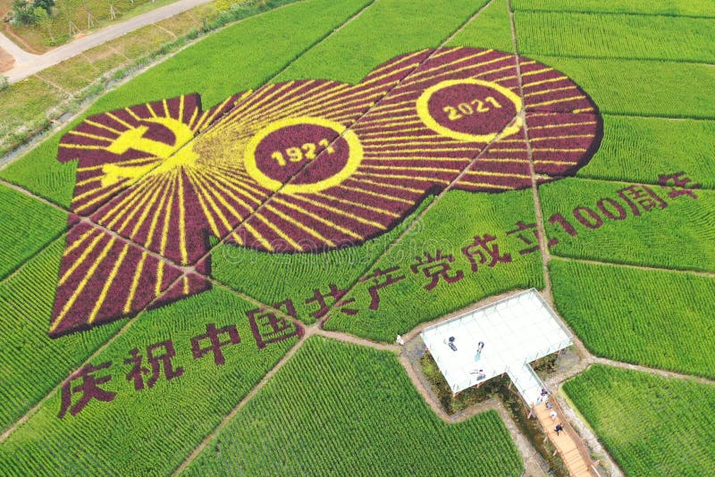 Colorful Rice Fields in Yunnan, China Editorial Photography - Image of ...