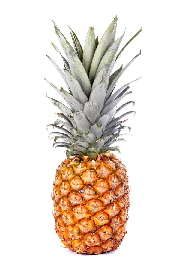 57,993 Colorful Pineapple Stock Photos - Free & Royalty-Free Stock ...