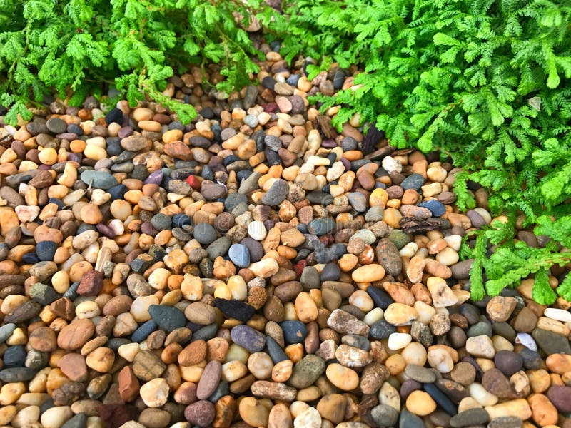 Colorful river rocks stock photo. Image of gravel, circle - 98423946