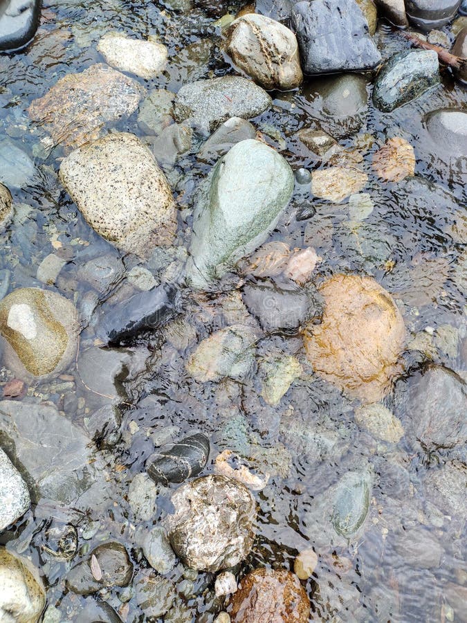 Colorful river rocks stock photo. Image of skykomish - 229959692