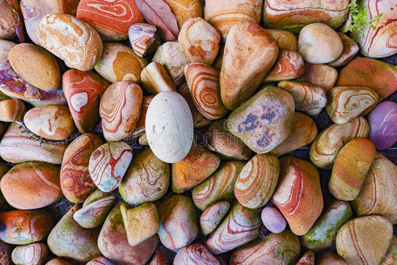Colorful River Stones on the Garden Stock Image - Image of ...