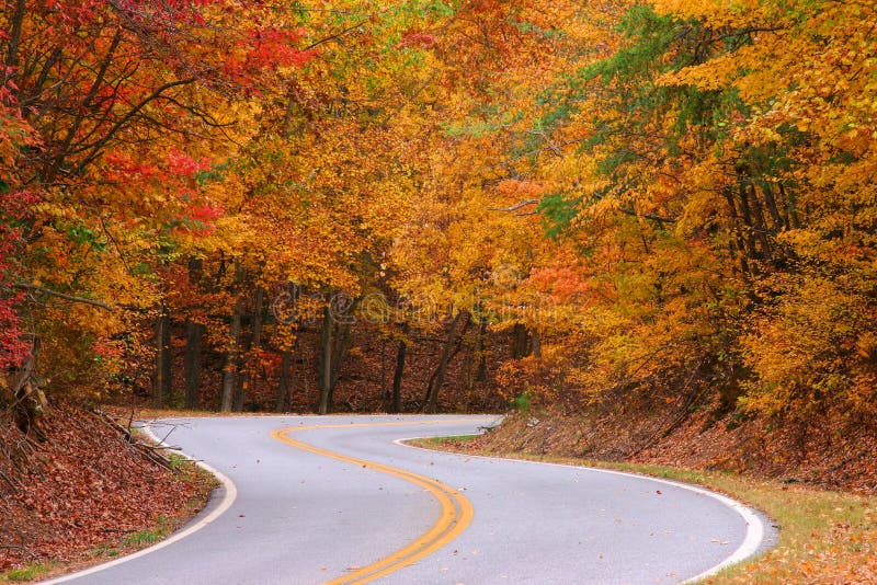 Colorful Road stock image. Image of rural, road, scenic - 1802541