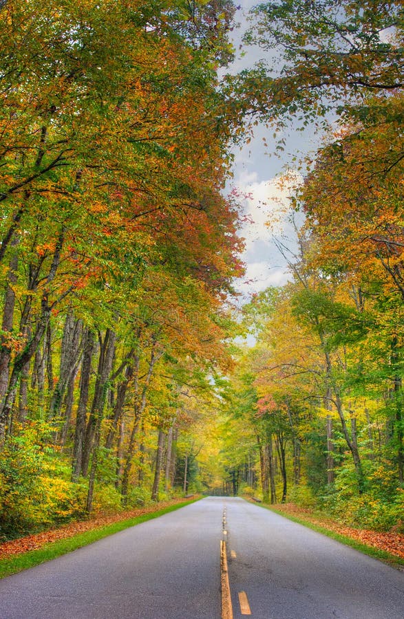 Colorful road stock photo. Image of outdoors, fall, pavement - 34865058