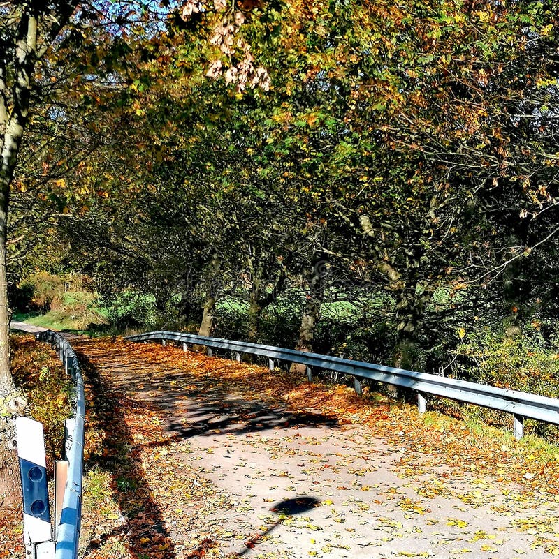 Colorful road with leaf stock image. Image of leaf, road - 163205149