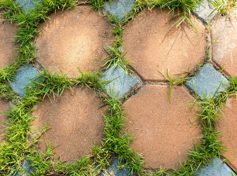Colorful Rock Tile with Grass in the Garden Stock Image - Image of ...