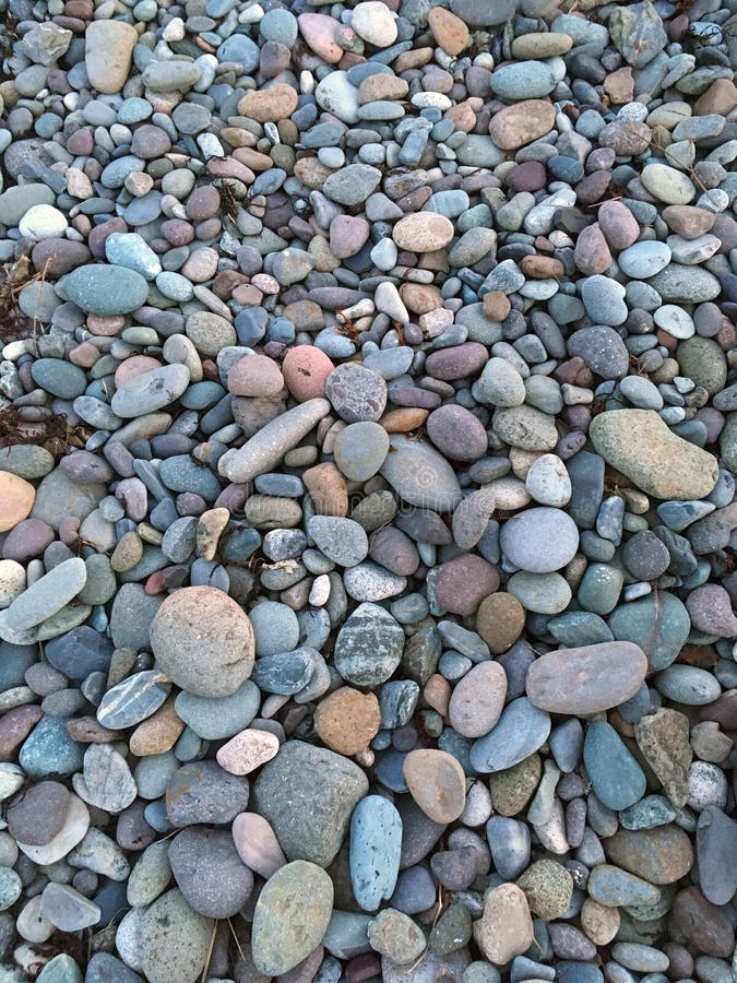 Colorful Rocks on the Beach Stock Photo - Image of stones, stone: 98043070