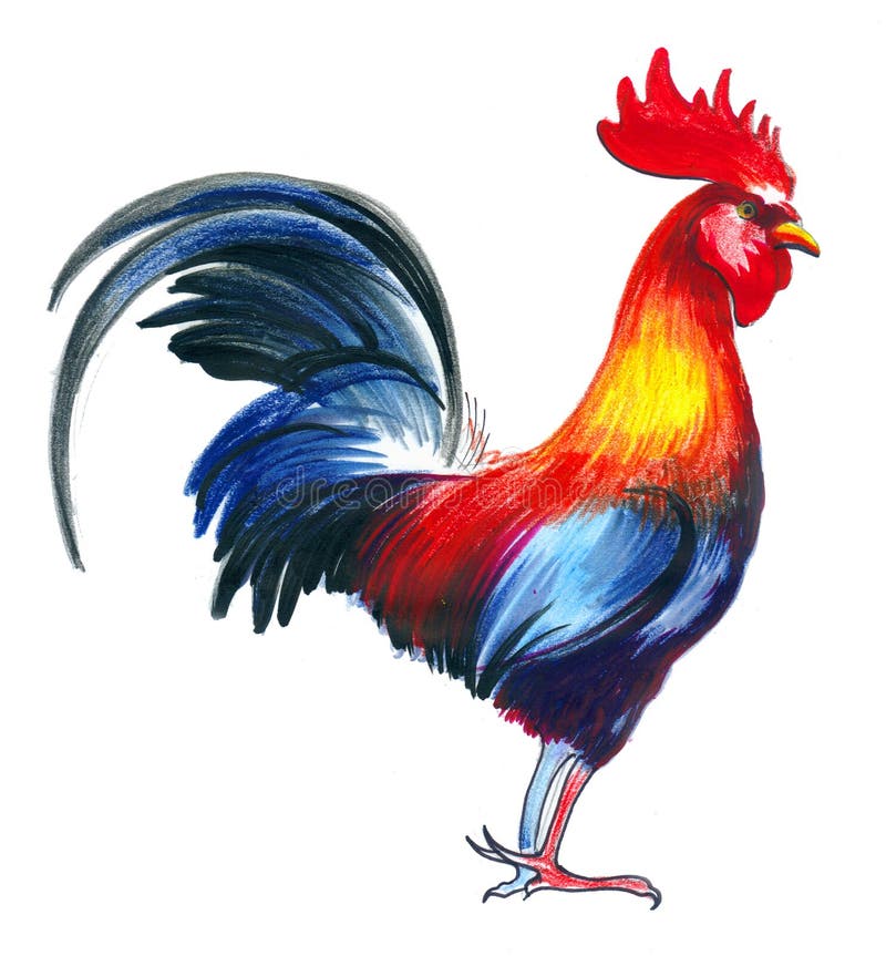 Colorful rooster stock illustration. Illustration of feather - 92012323