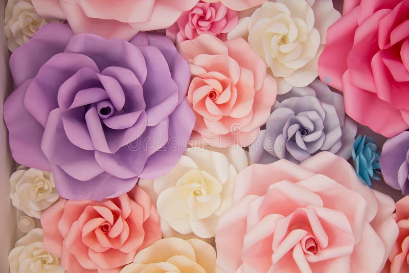 Colorful rose backdrop stock photo. Image of colorful - 45521416
